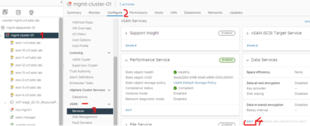 vSAN encryption data-at-rest & VM/VMcrypt encryption with Native Key ...